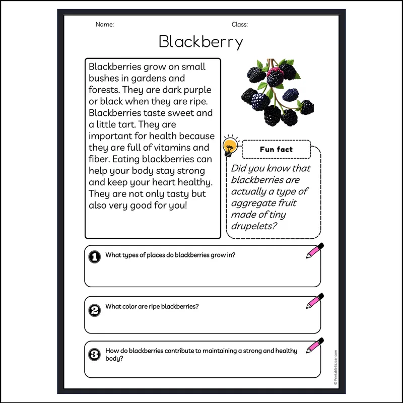 Blackberry | Reading Passage Comprehension Questions Writing Facts ...