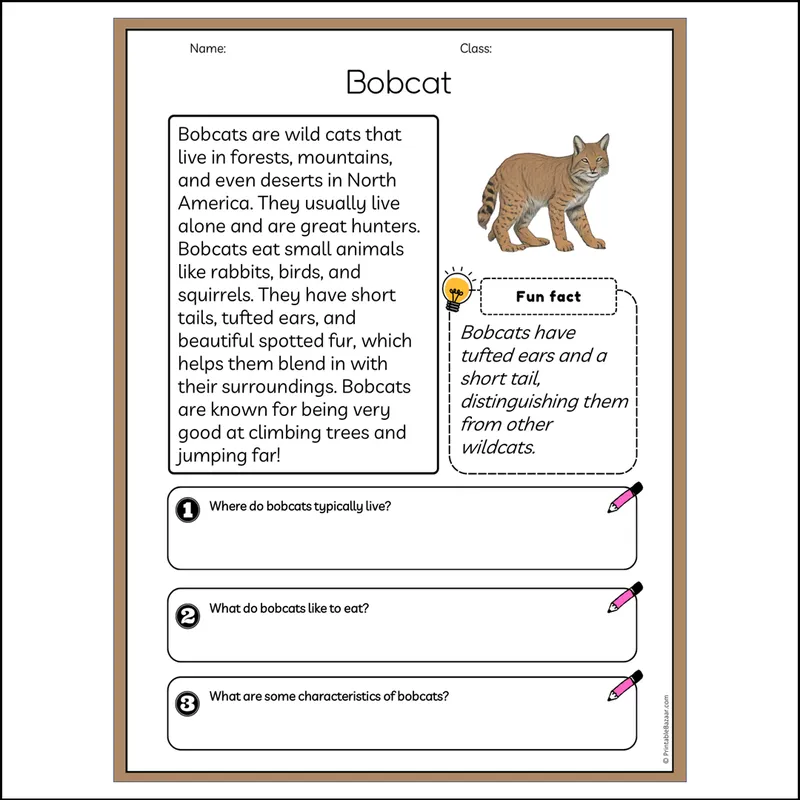 Bobcat | Reading Passage Comprehension Questions Writing Facts ...