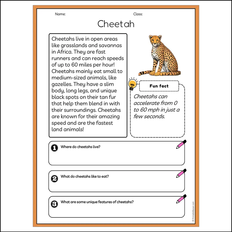Cheetah | Reading Passage Comprehension Questions Writing Facts ...