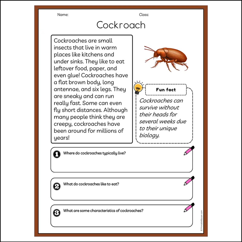 Cockroach | Reading Passage Comprehension Questions Writing Facts ...