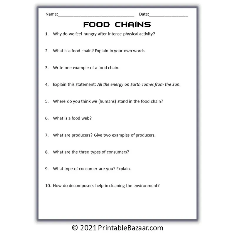 Food Chains Reading Comprehension Passage and Questions — Free ...