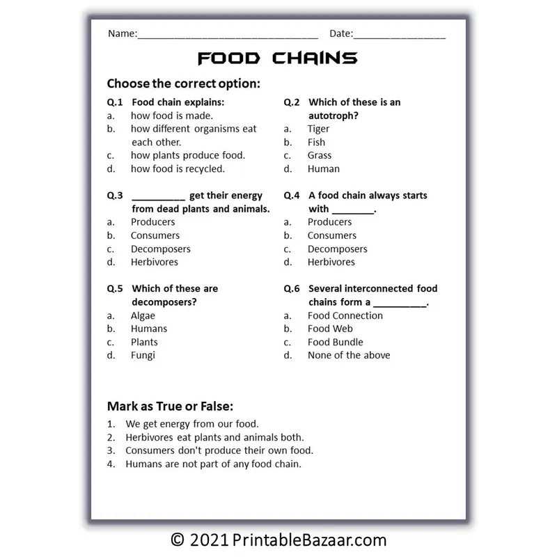 Food Chains Reading Comprehension Passage and Questions — Free ...