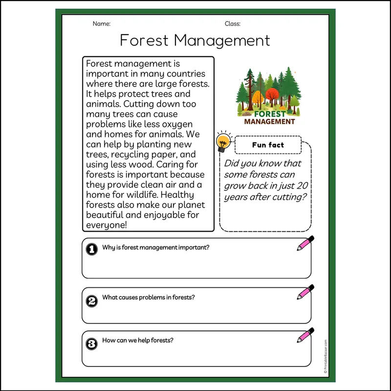 Forest Management | Reading Passage Comprehension Questions Writing ...