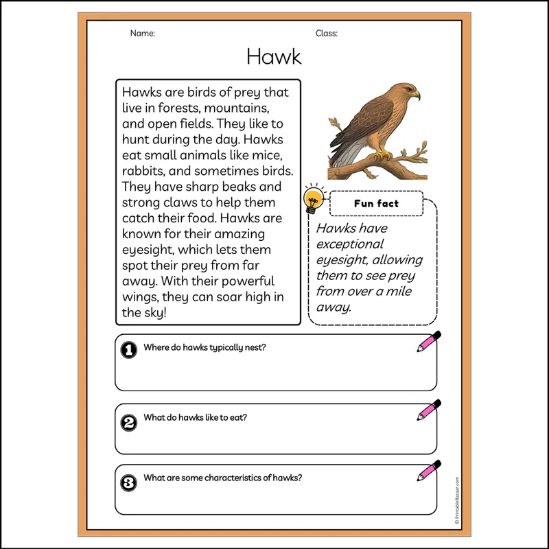 Hawk | Reading Passage Comprehension Questions Writing Facts Worksheet ...