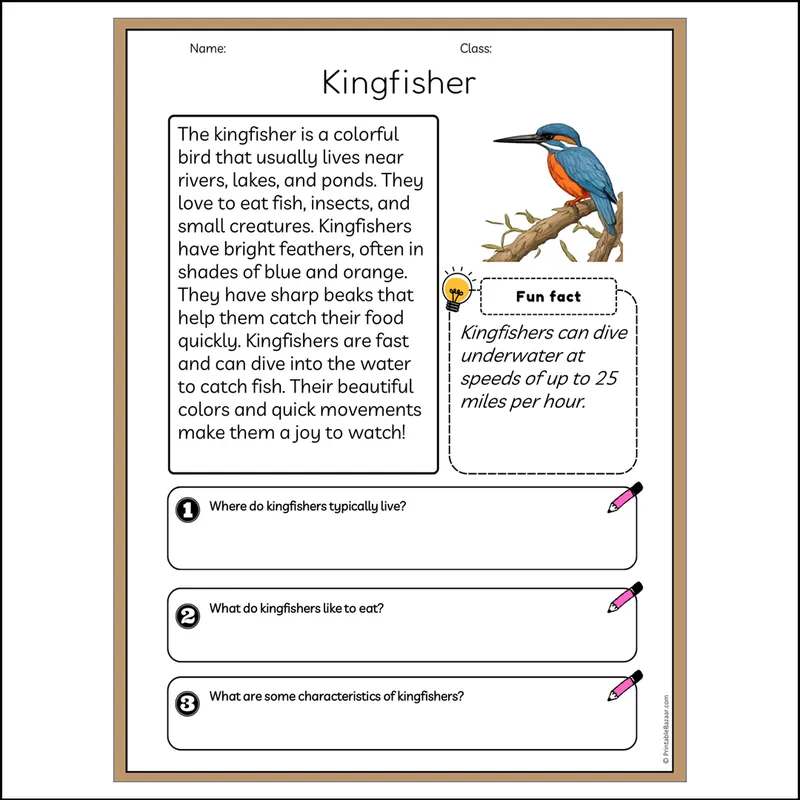 Kingfisher | Reading Passage Comprehension Questions Writing Facts ...